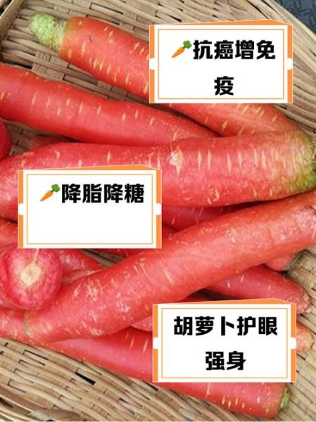 胡萝卜的功效与作用及禁忌_吃胡萝卜的注意事项-第2张图片-山城妙识 胡萝卜的功效与作用及禁忌_吃胡萝卜的注意事项-第2张图片-山城妙识