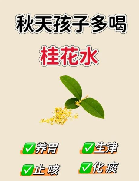 湿气重可以喝桂花茶吗_桂花茶去湿气效果-第2张图片-山城妙识 湿气重可以喝桂花茶吗_桂花茶去湿气效果-第2张图片-山城妙识