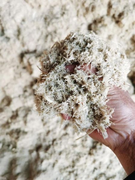 甘蔗渣是什么_甘蔗渣的用途有哪些-第1张图片-山城妙识 甘蔗渣是什么_甘蔗渣的用途有哪些-第1张图片-山城妙识