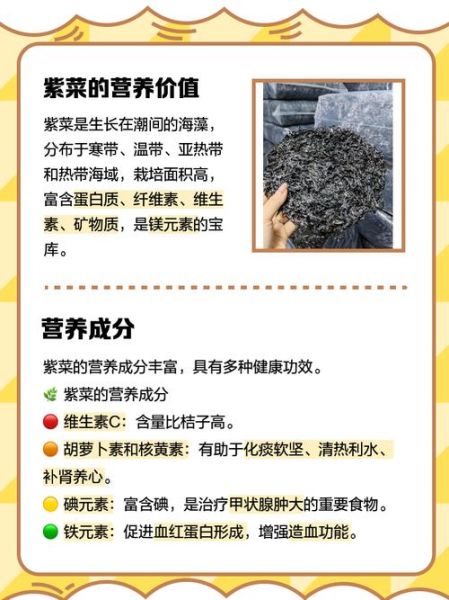 紫菜的功效与作用_紫菜怎么做好吃-第1张图片-山城妙识 紫菜的功效与作用_紫菜怎么做好吃-第1张图片-山城妙识