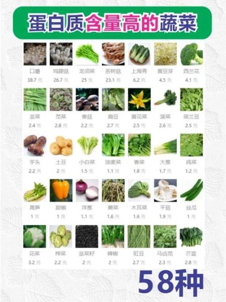 高蛋白蔬菜有哪些_高蛋白蔬菜排行榜-第2张图片-山城妙识 高蛋白蔬菜有哪些_高蛋白蔬菜排行榜-第2张图片-山城妙识