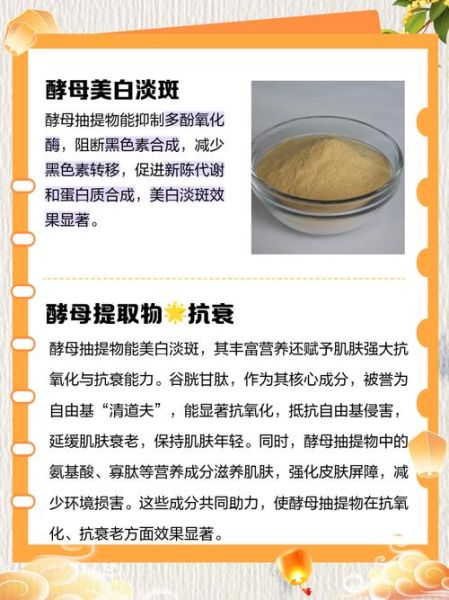 酵母提取物是什么_酵母提取物的作用与功效-第1张图片-山城妙识 酵母提取物是什么_酵母提取物的作用与功效-第1张图片-山城妙识