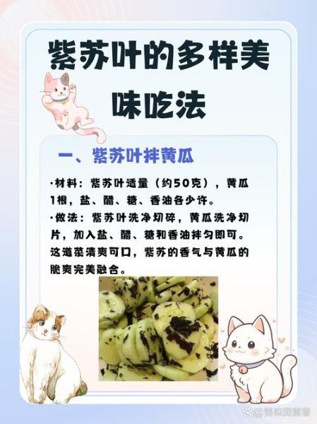 紫苏是什么味道_紫苏叶怎么吃好吃-第1张图片-山城妙识 紫苏是什么味道_紫苏叶怎么吃好吃-第1张图片-山城妙识