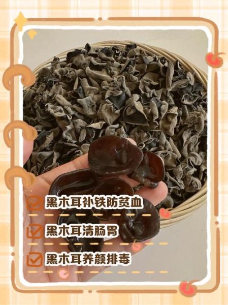 黑木耳营养价值_黑木耳能补铁吗-第1张图片-山城妙识 黑木耳营养价值_黑木耳能补铁吗-第1张图片-山城妙识