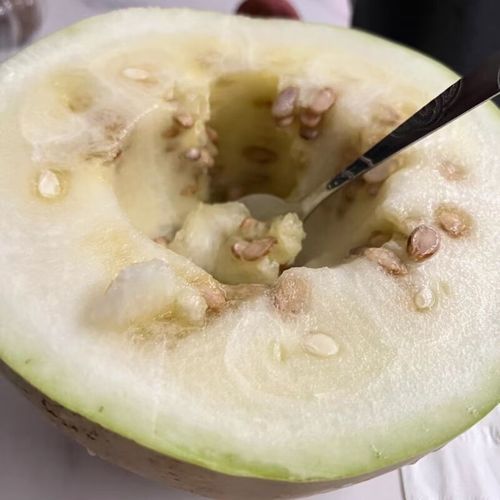 三白瓜适合哪些人吃_三白瓜的禁忌人群有哪些-第3张图片-山城妙识 三白瓜适合哪些人吃_三白瓜的禁忌人群有哪些-第3张图片-山城妙识