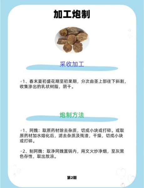 阿魏是什么中药_阿魏的功效与作用-第1张图片-山城妙识 阿魏是什么中药_阿魏的功效与作用-第1张图片-山城妙识