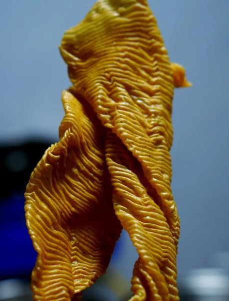 豆筋怎么做好吃_豆筋的家常做法大全-第1张图片-山城妙识 豆筋怎么做好吃_豆筋的家常做法大全-第1张图片-山城妙识