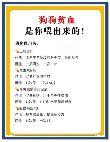 狗狗补血的食物有哪些_狗狗贫血吃什么最快补血-第1张图片-山城妙识 狗狗补血的食物有哪些_狗狗贫血吃什么最快补血-第1张图片-山城妙识