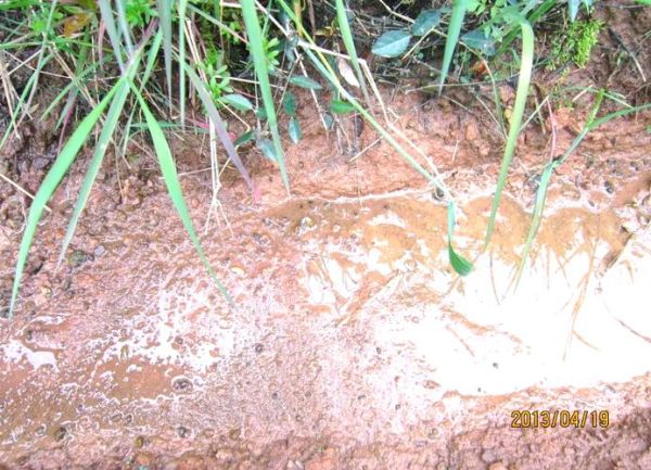 血吸虫病症状有哪些_血吸虫病会传染吗-第3张图片-山城妙识