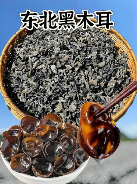 东北黑木耳的功效与作用_东北黑木耳怎么吃最营养-第1张图片-山城妙识 东北黑木耳的功效与作用_东北黑木耳怎么吃最营养-第1张图片-山城妙识