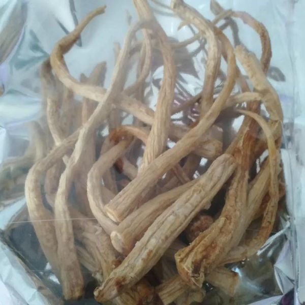 桔梗咸菜是什么植物_桔梗咸菜的做法-第3张图片-山城妙识 桔梗咸菜是什么植物_桔梗咸菜的做法-第3张图片-山城妙识