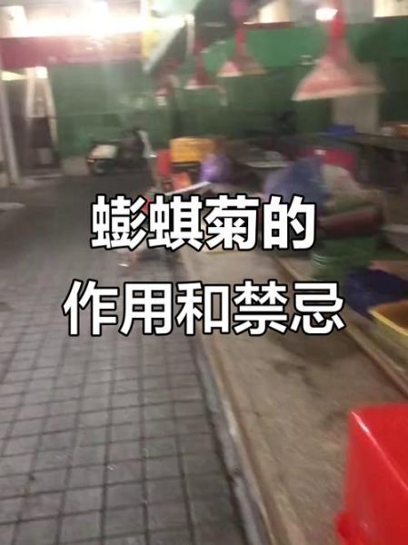 蟛蜞菊内酯是什么_蟛蜞菊内酯的功效与作用-第2张图片-山城妙识