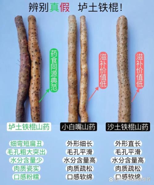 淮山药图片大全大图_淮山药和铁棍山药怎么区分-第1张图片-山城妙识