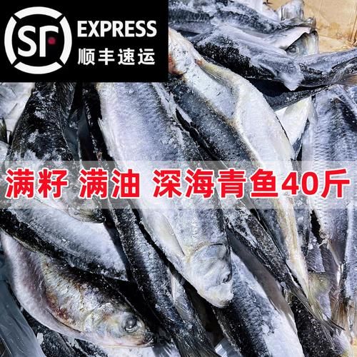 青鱼俗名叫什么_青鱼为什么叫黑鲩-第2张图片-山城妙识 青鱼俗名叫什么_青鱼为什么叫黑鲩-第2张图片-山城妙识