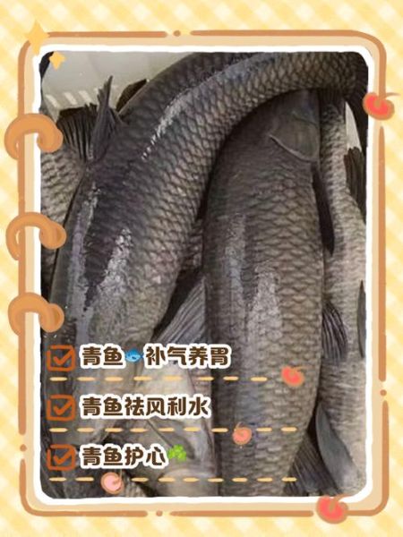 青鱼俗名叫什么_青鱼为什么叫黑鲩-第1张图片-山城妙识 青鱼俗名叫什么_青鱼为什么叫黑鲩-第1张图片-山城妙识
