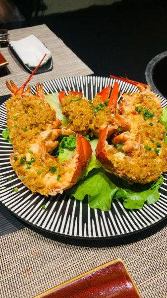 波龙和澳龙的区别_红龙青龙哪个更好吃-第3张图片-山城妙识