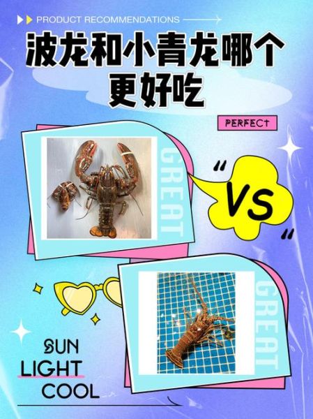 波龙和澳龙的区别_红龙青龙哪个更好吃-第1张图片-山城妙识