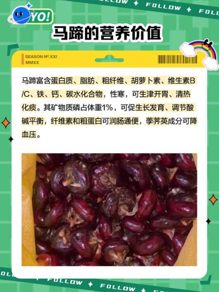 荸荠的功效与作用_荸荠怎么吃最好-第1张图片-山城妙识 荸荠的功效与作用_荸荠怎么吃最好-第1张图片-山城妙识