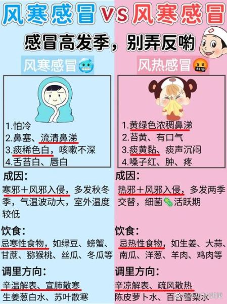 经常感冒是什么原因_免疫力低下怎么办-第2张图片-山城妙识 经常感冒是什么原因_免疫力低下怎么办-第2张图片-山城妙识