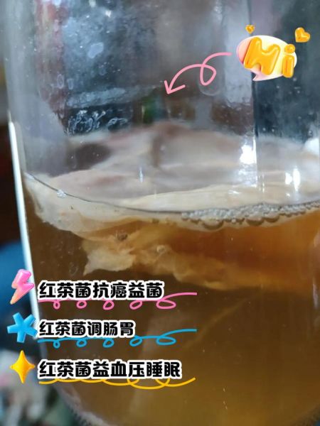红茶菌的危害有哪些_红茶菌的副作用是什么-第2张图片-山城妙识
