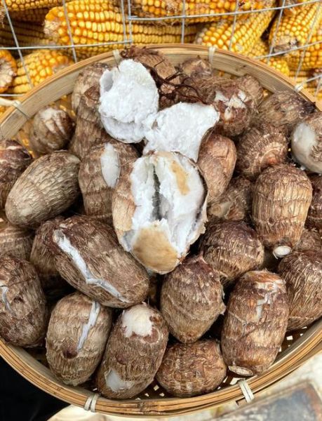 毛芋头怎么去皮不手痒_毛芋头去皮后怎么保存-第1张图片-山城妙识 毛芋头怎么去皮不手痒_毛芋头去皮后怎么保存-第1张图片-山城妙识