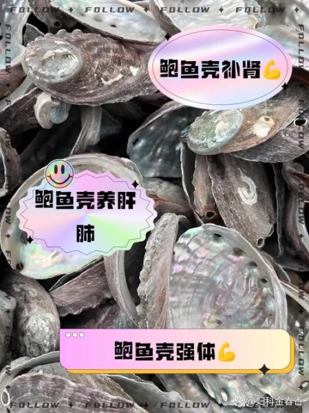 鲍鱼壳的功效与作用_鲍鱼壳的禁忌有哪些-第2张图片-山城妙识 鲍鱼壳的功效与作用_鲍鱼壳的禁忌有哪些-第2张图片-山城妙识