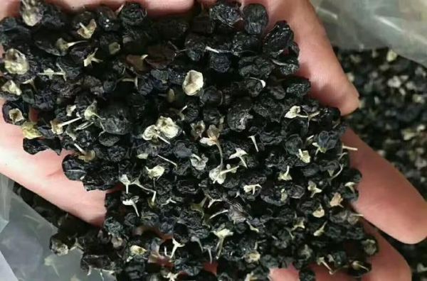 喝藏红花后排出黑色东西_正常吗-第3张图片-山城妙识 喝藏红花后排出黑色东西_正常吗-第3张图片-山城妙识