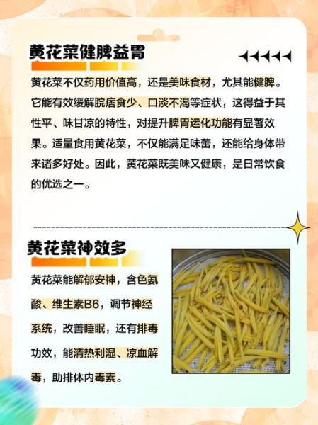 黄花菜的营养价值_孕妇能吃吗-第1张图片-山城妙识
