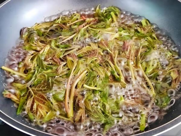 香椿焯水多长时间_香椿焯水几分钟-第1张图片-山城妙识 香椿焯水多长时间_香椿焯水几分钟-第1张图片-山城妙识