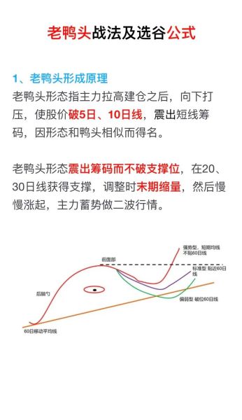 老鸭头战法选股公式_老鸭头形态买入点在哪-第1张图片-山城妙识 老鸭头战法选股公式_老鸭头形态买入点在哪-第1张图片-山城妙识