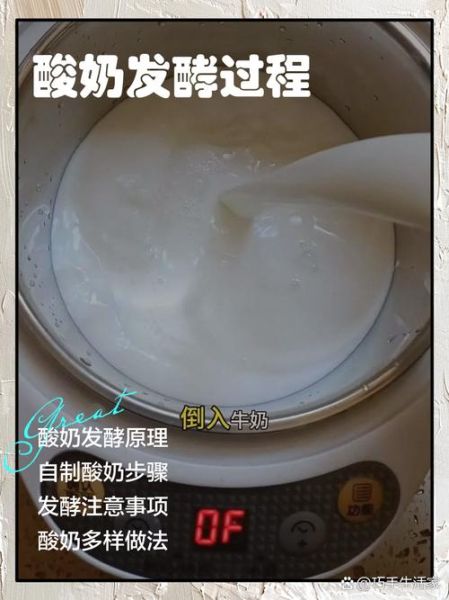 酸奶怎么做_酸奶发酵失败原因-第1张图片-山城妙识 酸奶怎么做_酸奶发酵失败原因-第1张图片-山城妙识