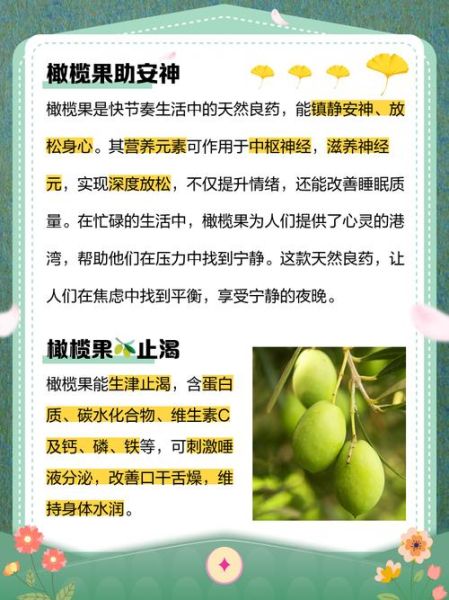 橄榄果的功效与作用及食用方法_怎么吃最健康-第3张图片-山城妙识