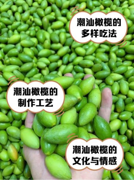 橄榄果的功效与作用及食用方法_怎么吃最健康-第2张图片-山城妙识