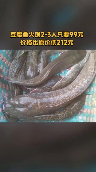 豆腐鱼多少钱一斤_豆腐鱼价格为什么波动大-第2张图片-山城妙识 豆腐鱼多少钱一斤_豆腐鱼价格为什么波动大-第2张图片-山城妙识