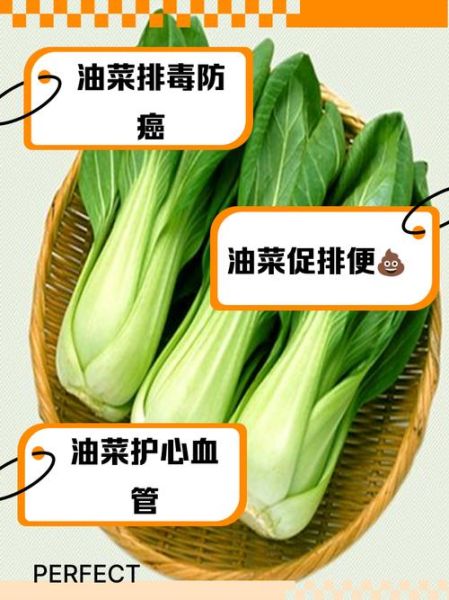 油菜的功效与作用_油菜的禁忌人群有哪些-第3张图片-山城妙识 油菜的功效与作用_油菜的禁忌人群有哪些-第3张图片-山城妙识