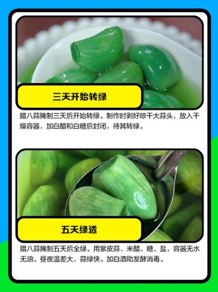 腊八蒜几天变绿_腊八蒜变绿最快几天-第1张图片-山城妙识 腊八蒜几天变绿_腊八蒜变绿最快几天-第1张图片-山城妙识