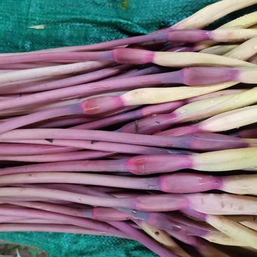 芋头杆的功效与作用_芋头杆的禁忌有哪些-第3张图片-山城妙识 芋头杆的功效与作用_芋头杆的禁忌有哪些-第3张图片-山城妙识