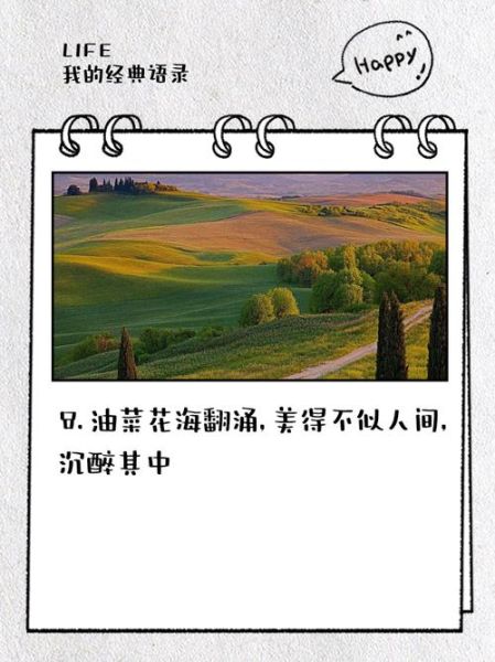 赏油菜花的心情短句_如何写出走心文案-第2张图片-山城妙识 赏油菜花的心情短句_如何写出走心文案-第2张图片-山城妙识