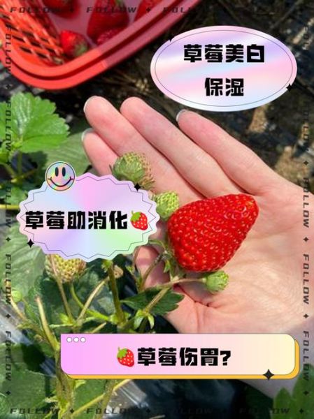 孕妇能吃草莓吗_孕妇吃草莓的好处和禁忌-第3张图片-山城妙识 孕妇能吃草莓吗_孕妇吃草莓的好处和禁忌-第3张图片-山城妙识
