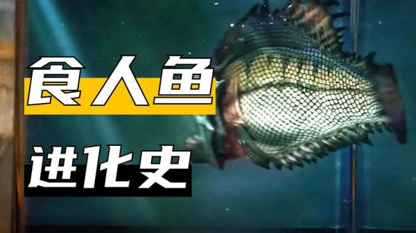 食人鱼3d哪里看_食人鱼3d剧情解析-第3张图片-山城妙识