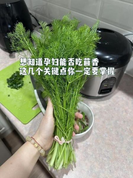 孕妇能吃茴香吗_茴香哪些人不能吃-第2张图片-山城妙识 孕妇能吃茴香吗_茴香哪些人不能吃-第2张图片-山城妙识