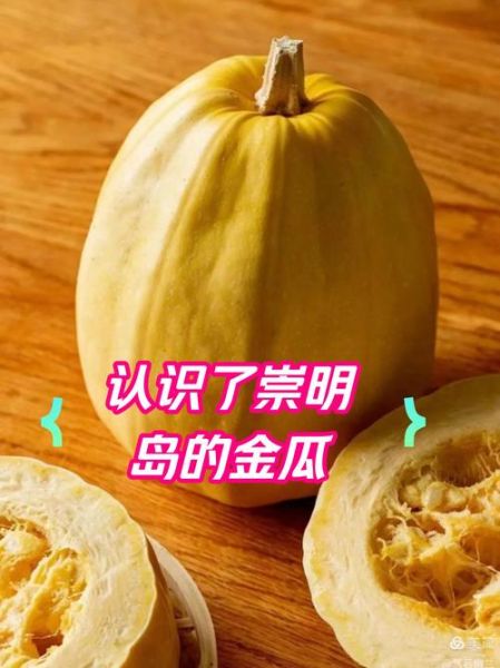 金丝瓜多少钱一斤_金丝瓜价格行情-第3张图片-山城妙识 金丝瓜多少钱一斤_金丝瓜价格行情-第3张图片-山城妙识