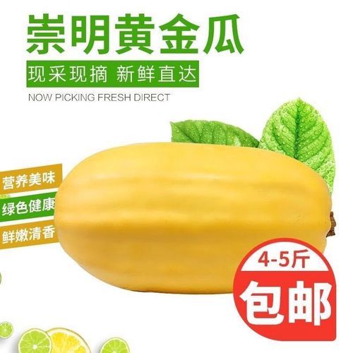 金丝瓜多少钱一斤_金丝瓜价格行情-第1张图片-山城妙识 金丝瓜多少钱一斤_金丝瓜价格行情-第1张图片-山城妙识