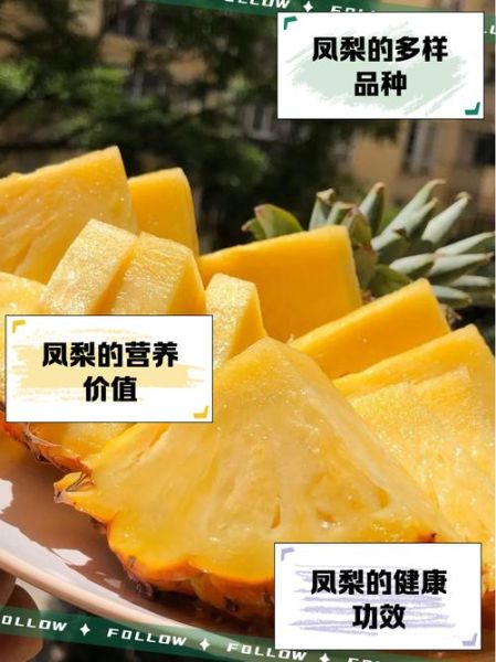 菠萝和凤梨价格差多少_为什么凤梨更贵-第3张图片-山城妙识