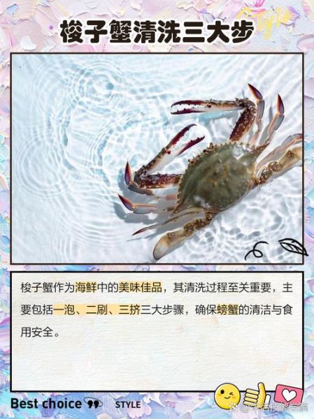 小螃蟹怎么洗干净_活螃蟹清洗步骤-第2张图片-山城妙识 小螃蟹怎么洗干净_活螃蟹清洗步骤-第2张图片-山城妙识
