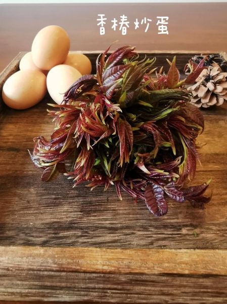 香椿芽炒鸡蛋怎么做_香椿芽炒鸡蛋的做法窍门-第2张图片-山城妙识 香椿芽炒鸡蛋怎么做_香椿芽炒鸡蛋的做法窍门-第2张图片-山城妙识