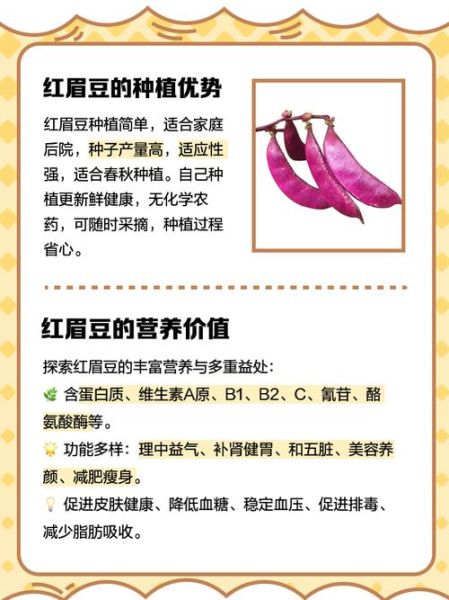 眉豆图片长什么样_眉豆的功效与作用有哪些-第1张图片-山城妙识 眉豆图片长什么样_眉豆的功效与作用有哪些-第1张图片-山城妙识