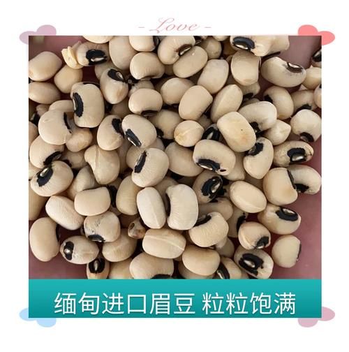 眉豆图片长什么样_眉豆的功效与作用有哪些-第2张图片-山城妙识 眉豆图片长什么样_眉豆的功效与作用有哪些-第2张图片-山城妙识