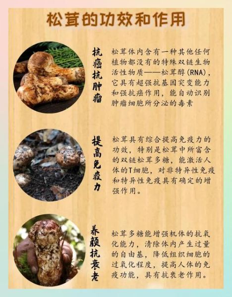 松茸的营养价值有哪些_松茸怎么吃最营养-第1张图片-山城妙识