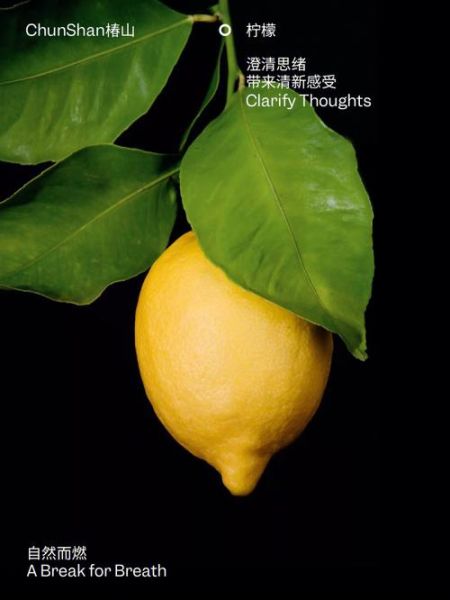 柠檬英语怎么读_lemon发音技巧-第2张图片-山城妙识